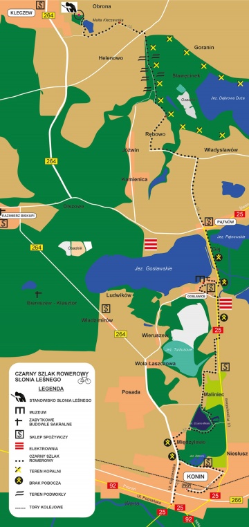 Słoń leśny namalowany na głazach. Artysta wytyczył czarny szlak