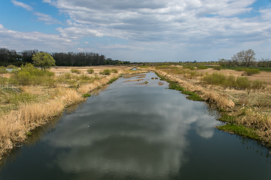 Tak źle nie było od wielu lat. Niskie stany rzek w regionie