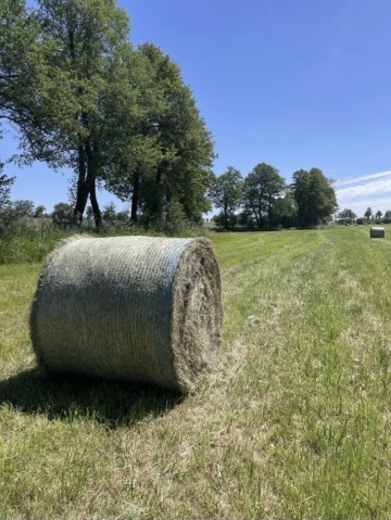 Ogłoszenie: Sprzedam siano, kategoria: pasze / płody rolne / nawozy